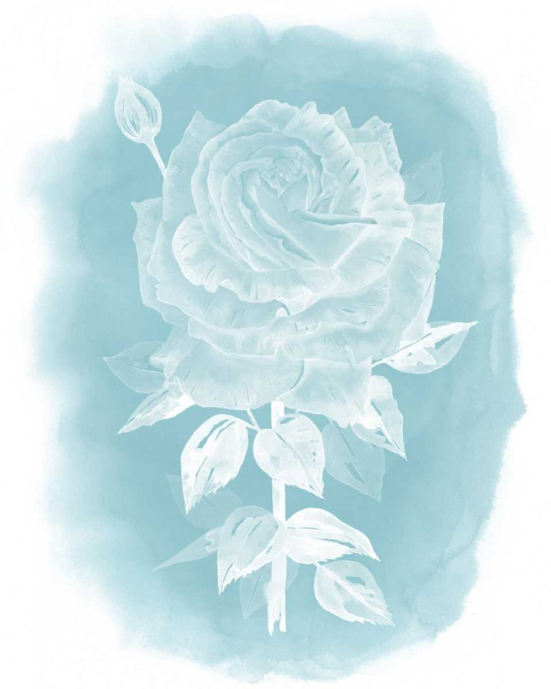 Ghost Rose II Poster Print - Grace Popp - Posterazzi