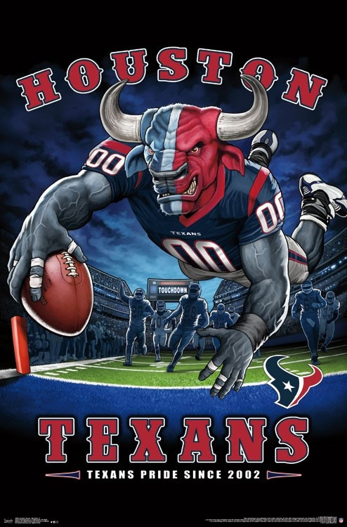 Houston Texans - End Zone Poster Print - Item # VARTIARP15981 - Posterazzi