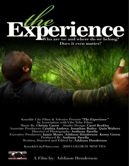 The Experience Movie Poster (11 x 17) - Item # MOVCB29873 - Posterazzi