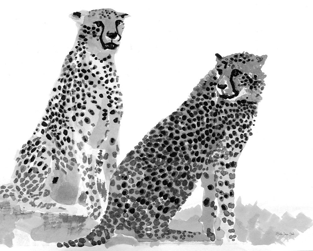 Cheetahs Poster Print - Design Studio Stellar - Posterazzi
