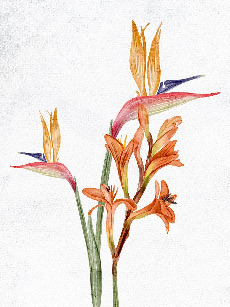 Tropic Floral 2 Poster Print - Ann Bailey - Posterazzi