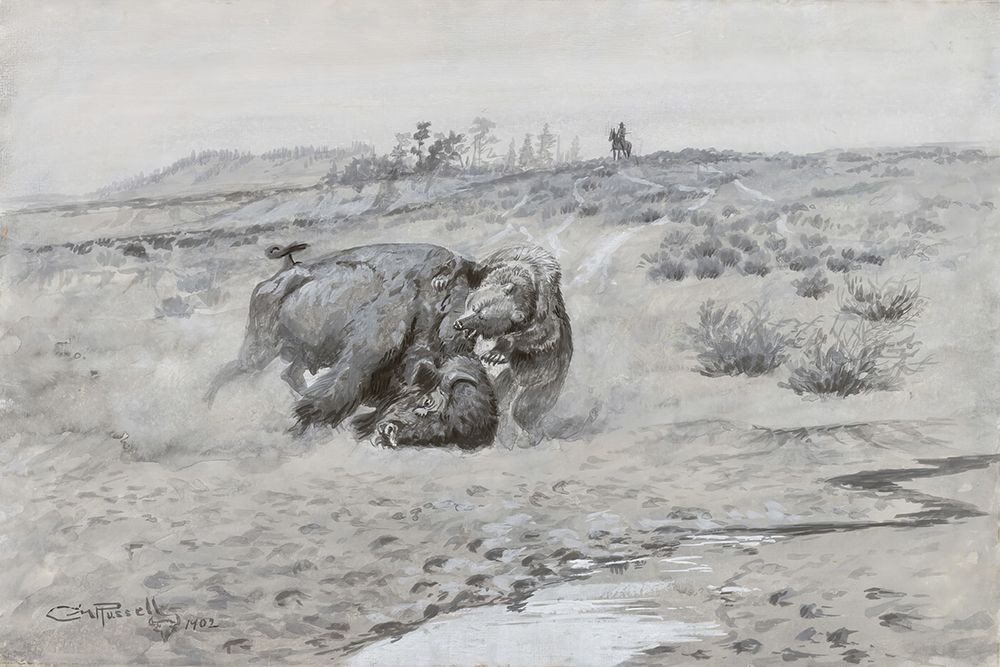 Death Battle of Buffalo and Grizzly Bear 1902 Poster Print - Charles ...