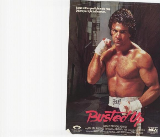 Busted Up Movie Poster Print (27 x 40) - Item # MOVEH5327 - Posterazzi