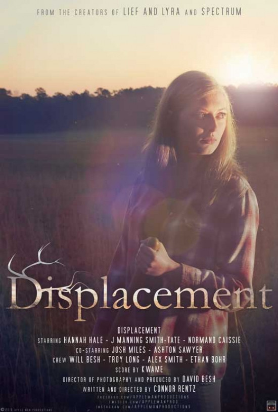 Displacement Movie Poster (11 x 17) - Item # MOVEB51745 - Posterazzi