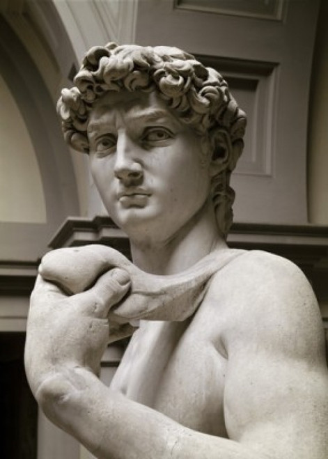 David Michelangelo Buonarroti Poster Print Item Varsal3804397054