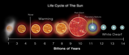 Life Cycle of Sun, Illustration Poster Print by Spencer Sutton/Science ...