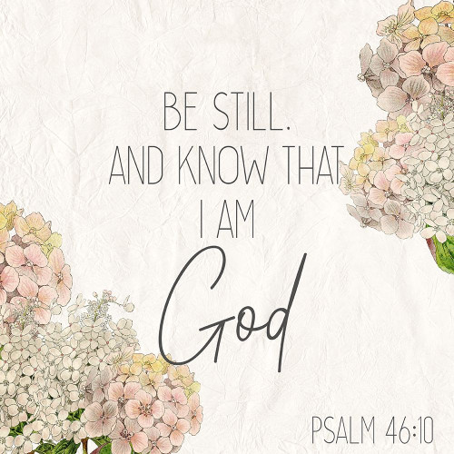 Be Still Plants Poster Print - Kimberly Allen # VARPDXKARN843A - Posterazzi