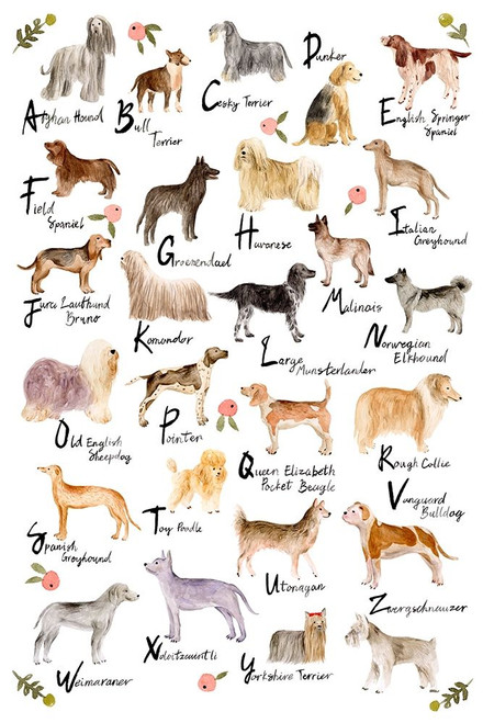 Dog Alphabet Poster Print - Melissa Wang - Posterazzi