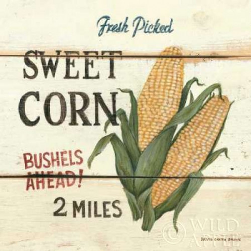 FreshPicked Sweet Corn Poster Print by David Carter Brown - Item ...