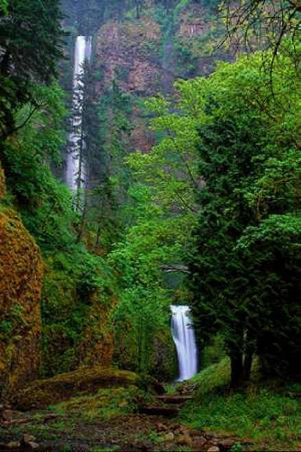 Multnomah Falls Spring Poster Print by Ike Leahy - Item ...