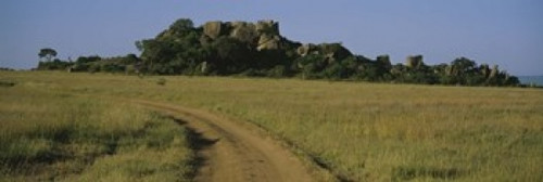 Road passing through a grassland, Simba Kopjes, Road Serengeti ...