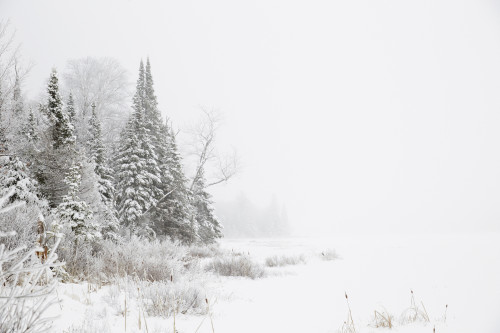 Snowy winter scene in the Algonquin Provincial Park; Ontario, Canada ...
