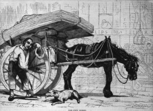 The City Horse Augustus Hoppin Poster Print - Item # VARSAL25517366 ...