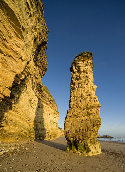 Lot's Wife Rock Formation, South Shields, Tyne And Wear, England ...