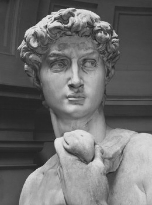 David 1501-1504 Michelangelo Buonarroti Marble Galleria dell 'Accademia ...