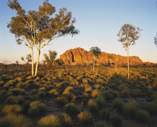 Outback Australia with rock formation in the distance; Northern ...