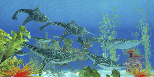 Doryaspis, an extinct genus of primitive jawless fish that lived in the ...