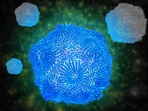 Microscopic view of Canine Parvovirus. Canine Parvovirus is a highly ...