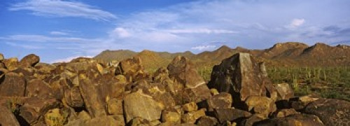 Signal Hill with Petroglyphs, Saguaro National Park, Tucson, Arizona ...
