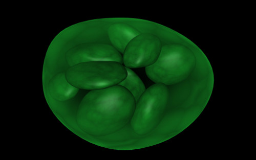 Conceptual image of chloroplast Poster Print - Item # VARPSTSTK700649H ...