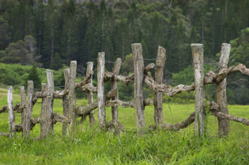 Hawaii, Lanai, Wooden Fence Bordering Pasture As Lodge At Koele Horse ...