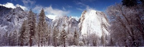 Snowy trees with rocks in winter, Cathedral Rocks, Yosemite National ...