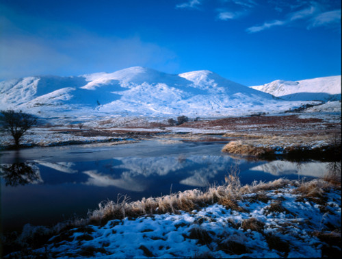 Winter Scene Strathmashie Highlands Scotland Poster Print - Item ...