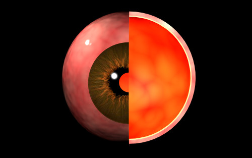Conceptual image of human eye cross section Poster Print - Item ...