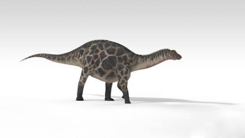 Dicraeosaurus dinosaur, white background Poster Print - Item ...
