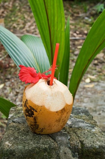 Tropical cocktail drink on Fregate Island, Seychelles Poster Print by ...