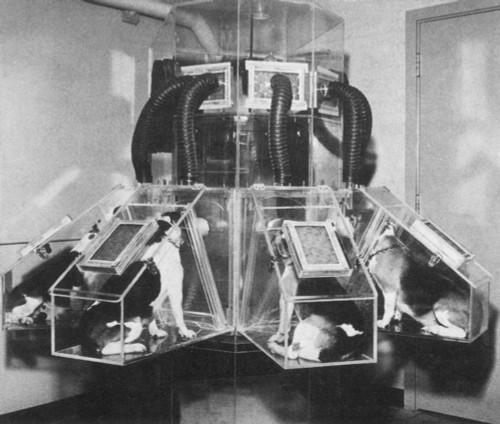 Studying Radiation Effects, 1970s Poster Print by Science Source - Item ...