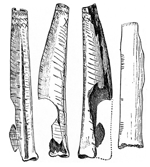 Receptacles for Paint, Early Upper Paleolithic Poster Print by Science ...