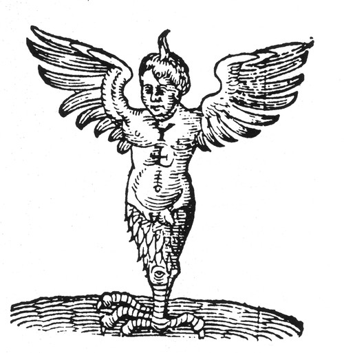 Ravenna Monster, Legendary Creature Poster Print by Science Source ...