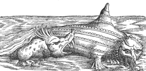 Sea Monster Attacks Ziphius, 16th Century Poster Print by Science ...