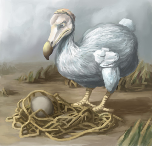 Dodo Bird, Illustration Poster Print by Spencer Sutton/Science Source ...