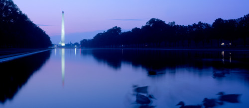 Washington Monument reflecting in pool at dawn, Washington DC, USA ...