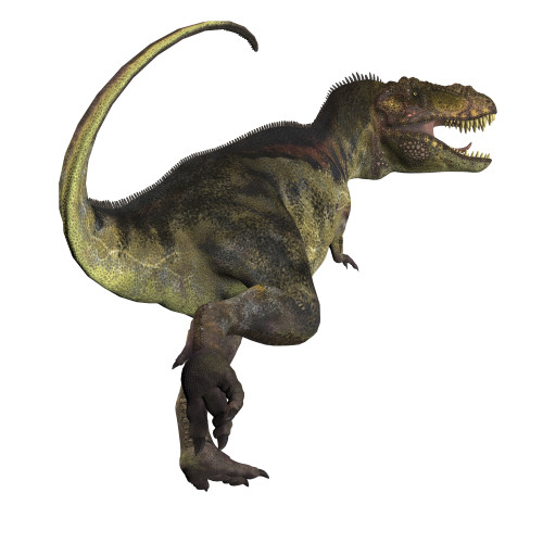 Rear view of Tyrannosaurus rex on white background. Poster Print by ...