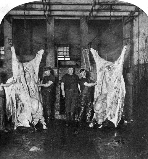 Chicago: Meatpacking. /Nfactory Workers Dressing Beef At The Armour And ...