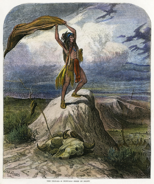 Native American, 1873. /Na Plains Native American Waving His Blanket To ...