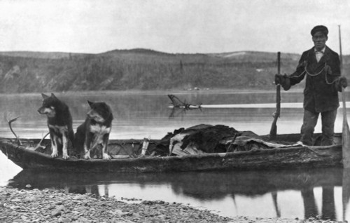 Alaska: Trapper. /Nan Inuit Tapper With Hides And Dogs In A Canoe In ...