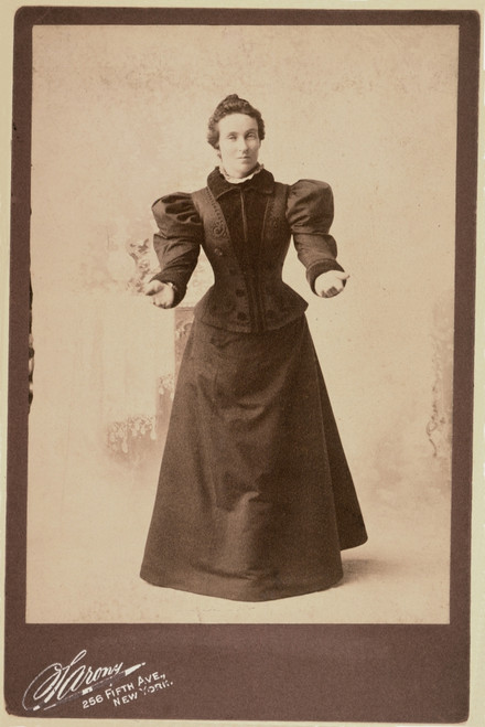 Mary Elizabeth Lease /N(1853-1933). American Social Reformer, Lecturer ...