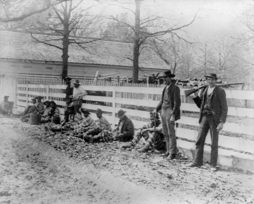 Georgia: Chain Gang. /Nchain Gang Prisoners And Guards Rest Against A ...