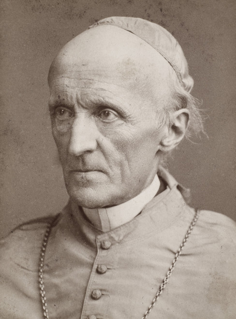Henry Edward Manning /N(1808-1892). English Catholic Archbishop And ...