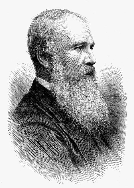 John Charles Ryle /N(1816-1900). English Anglican Cleric. Line ...
