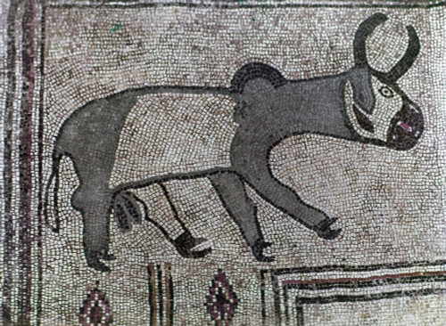 Synagogue, 6Th Century. /Nbull. Detail From The Pavement Mosaic Of The ...