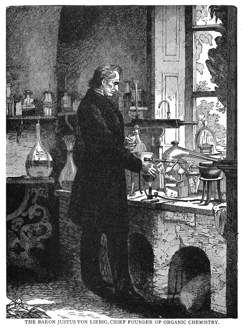 Baron Justus Von Liebig/N(1803-1873). German Chemist. Wood Engraving ...