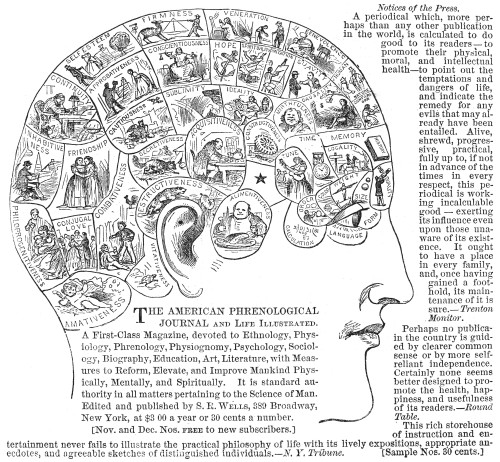 Phrenology, 1867. /Nadvertisement For The 'American Phrenological ...