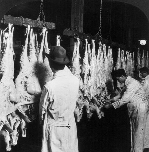 Chicago: Meatpacking. /Nfactory Workers Washing And Tagging Freshly ...