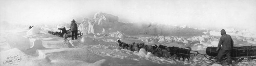 Ziegler Polar Expedition. /Ndog Sled Teams Of The Ziegler Polar ...