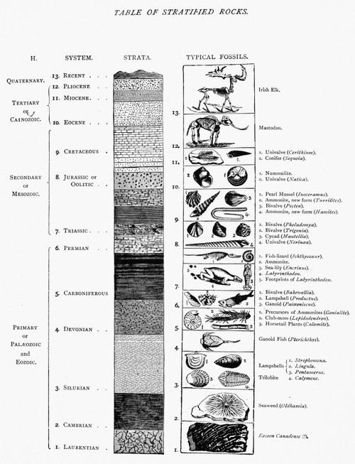 Geology: Time Chart. /Na Late 19Th Century Classification Of The ...